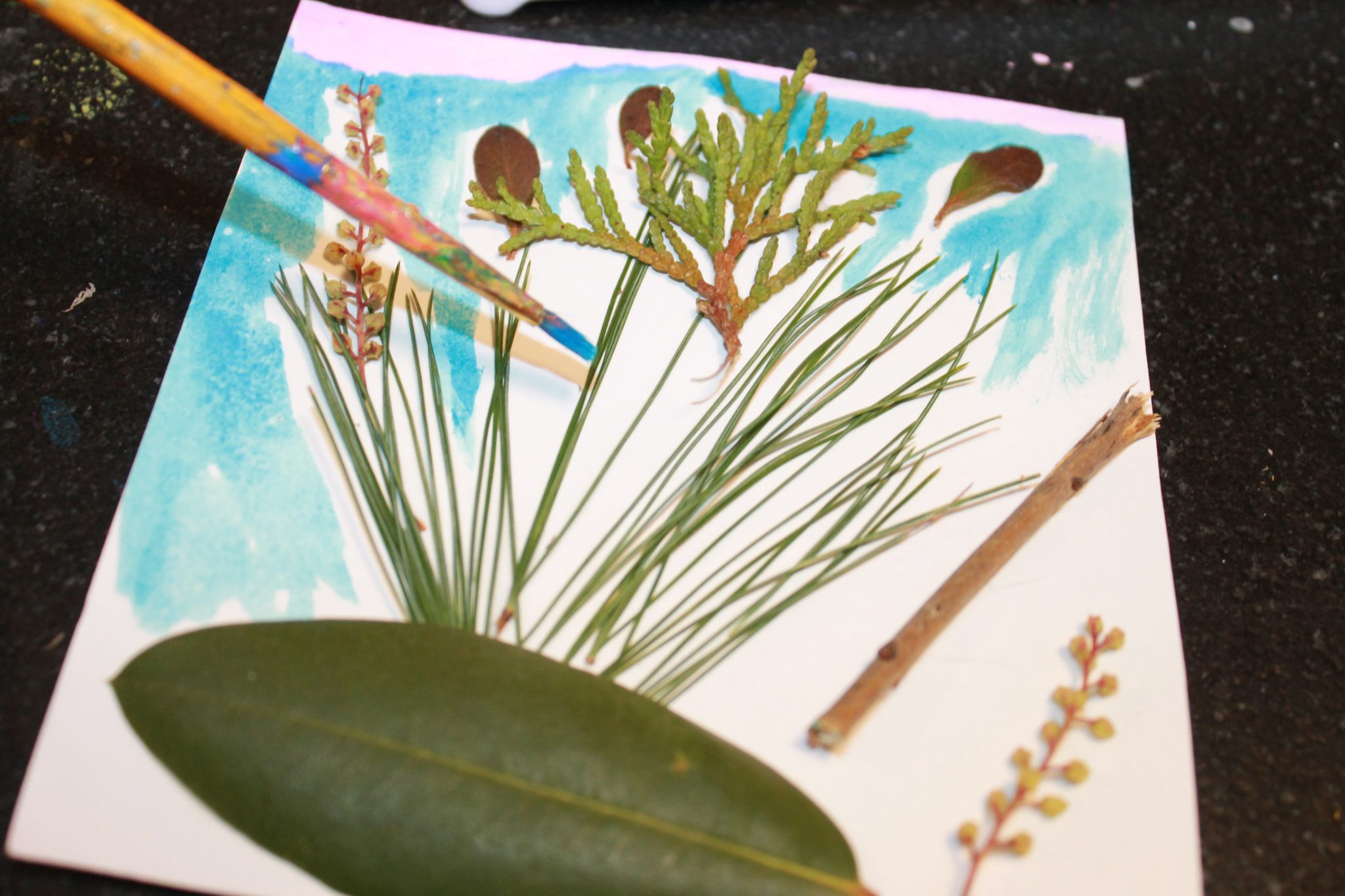 Nature and Watercolors – The Pinterested Parent