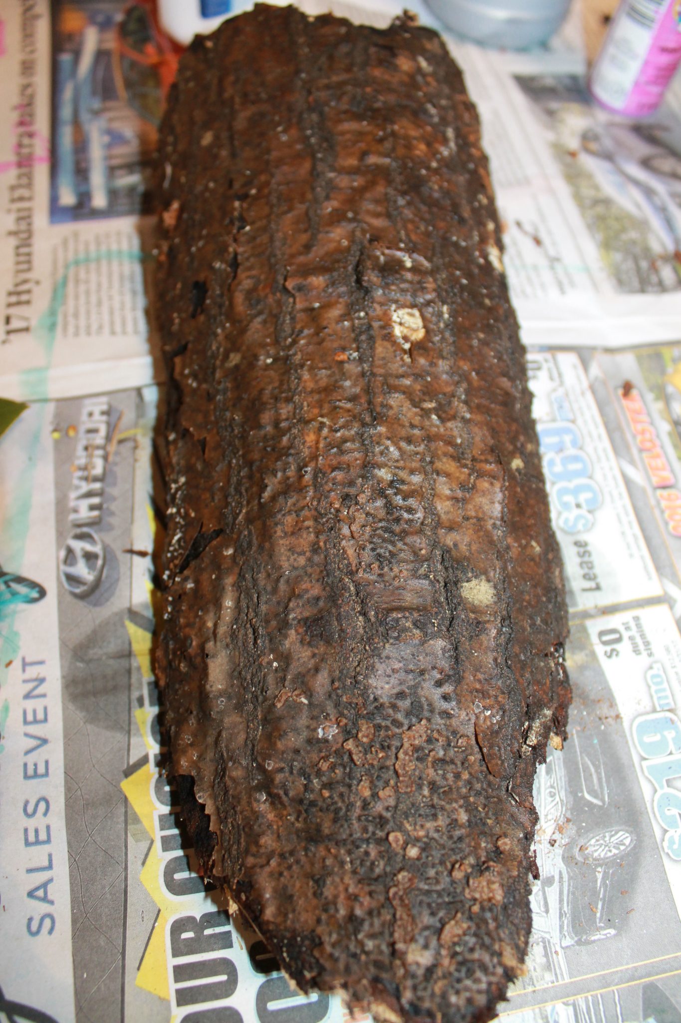 Bark Tribal Masks – The Pinterested Parent