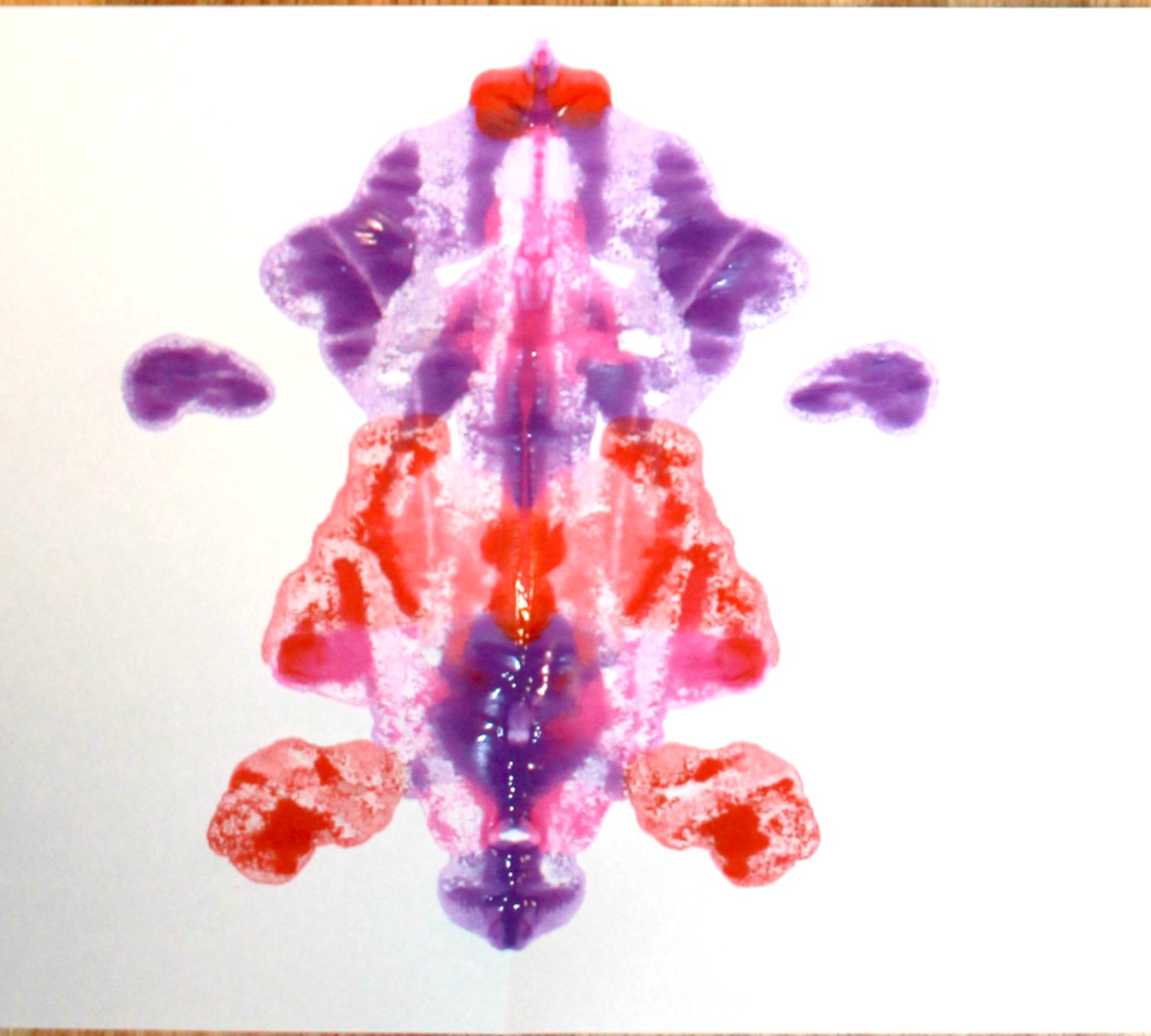 Paint Blot Art Inspiration For Kids – The Pinterested Parent