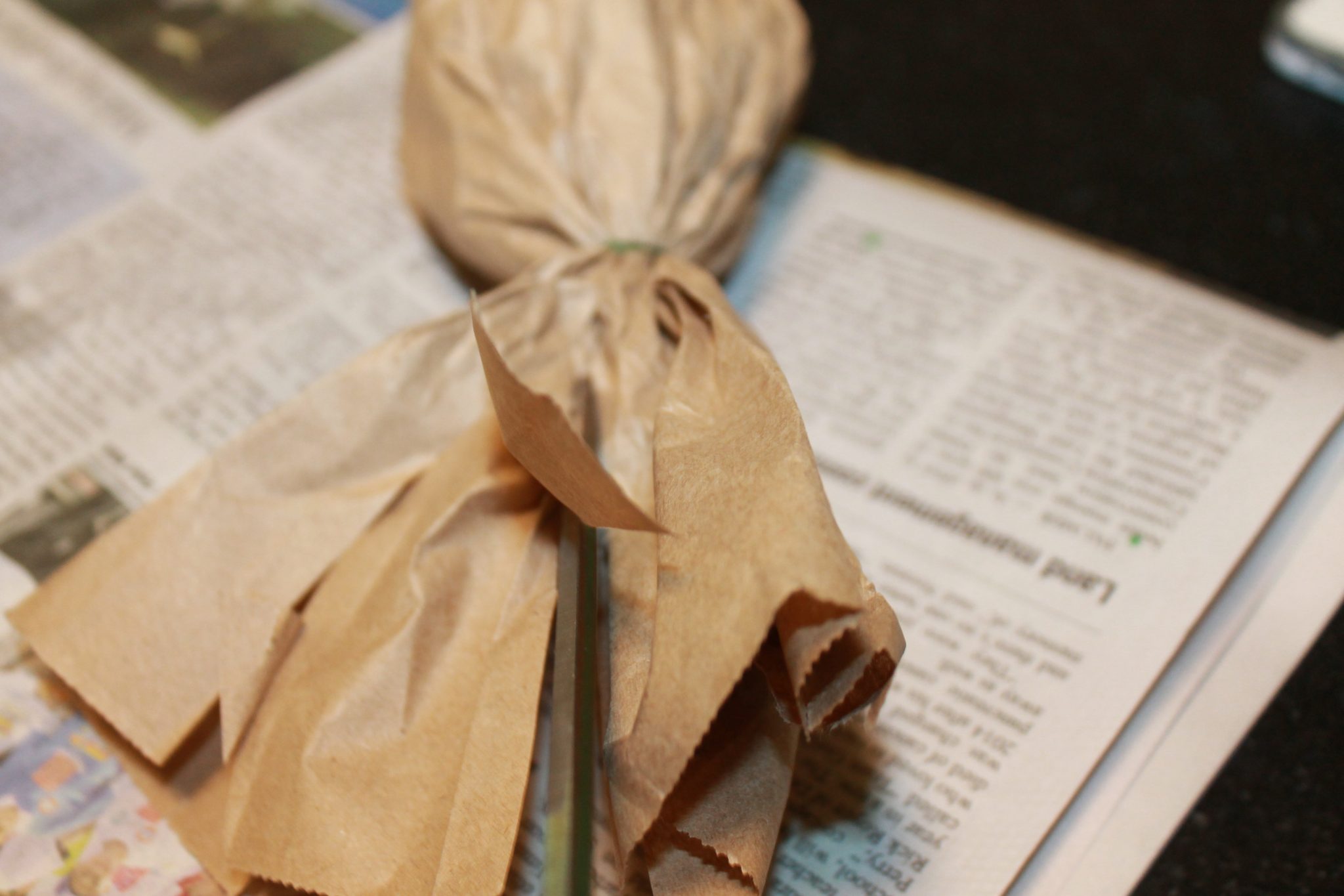 Stuffed Paper Bag Fall Crafts – The Pinterested Parent